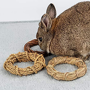 Niteangel 3-Pack of Natural Chew Ring for Small Animals