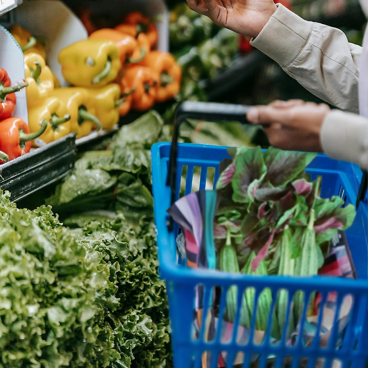 BeyGior Reusable Grocery Bags 3 Pack,Reusable Shopping Bags for Groceries,Large Grocery Bags,Reusable Bags Heavy Duty Up to 50LBS,Grocery Tote Bags with Attached Pouch (multistripe)
