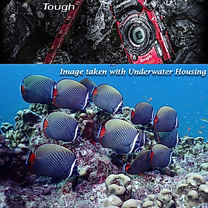 Olympus Tough TG-6 Waterproof Digital Camera (Black) + Pixibytes Basic Bundle + Underwater Package