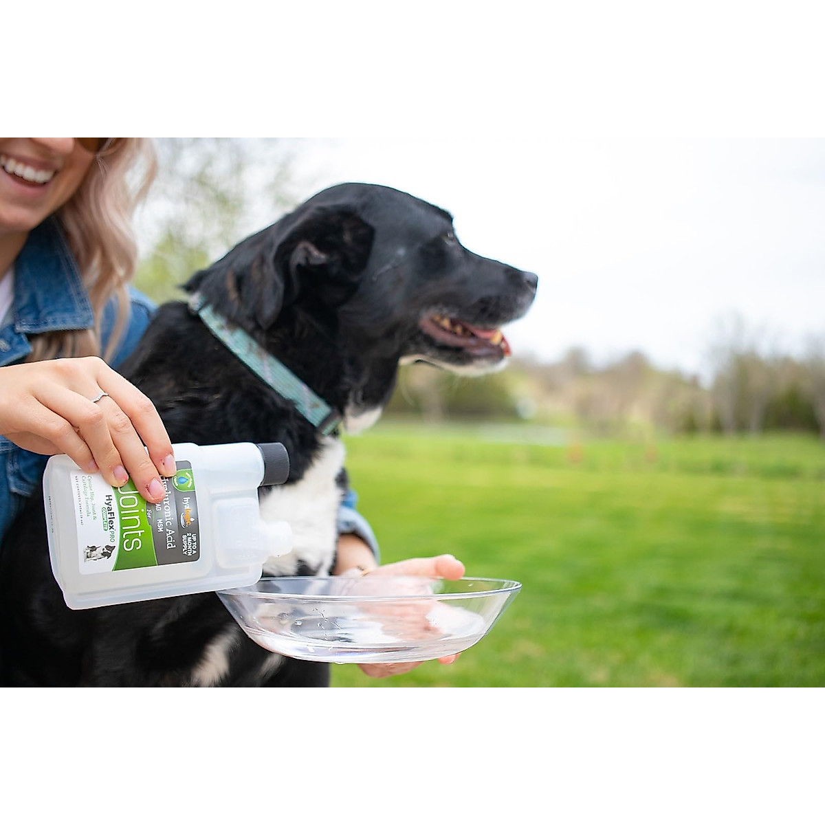 Hyalogic HyaFlex Pro-Complete Dog Joint Supplement, Canine Joint Support – Hyaluronic Acid Joint Supplement for Dogs –w/Glucosamine MSM Supplement 30-60 Day Supply, Cartilage & Coat Supplement