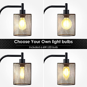 BoostArea Industrial Floor Lamp, Standing Lamp with Hanging Iron Mesh Lamp Shade, 6W LED Bulb, Whole Metal Farmhouse Floor Lamp with Foot Switch, Rustic Floor Lamps for Living Room Bedroom, Black