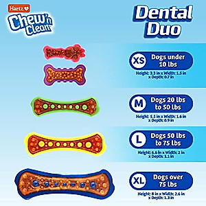 Hartz Chew 'n Clean Dental Duo Bacon Flavored Dental Dog Chew Toy and Treat - Large, Colors may vary
