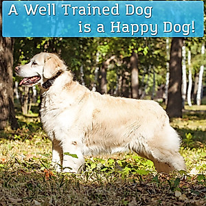 PetSpy P620 Dog Training Shock Collar for Dogs with Vibration, Electric Shock, Beep; Rechargeable and Waterproof Remote Trainer E-Collar - 10-140 lbs