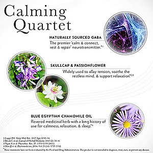 Quicksilver Scientific LipoCalm - Liposomal GABA with Herbs for Relaxation Support - Chamomile, Passionflower Herb & Skullcap Supplement for Peace of Mind & Sleep Calm Support (1.7oz / 50ml)