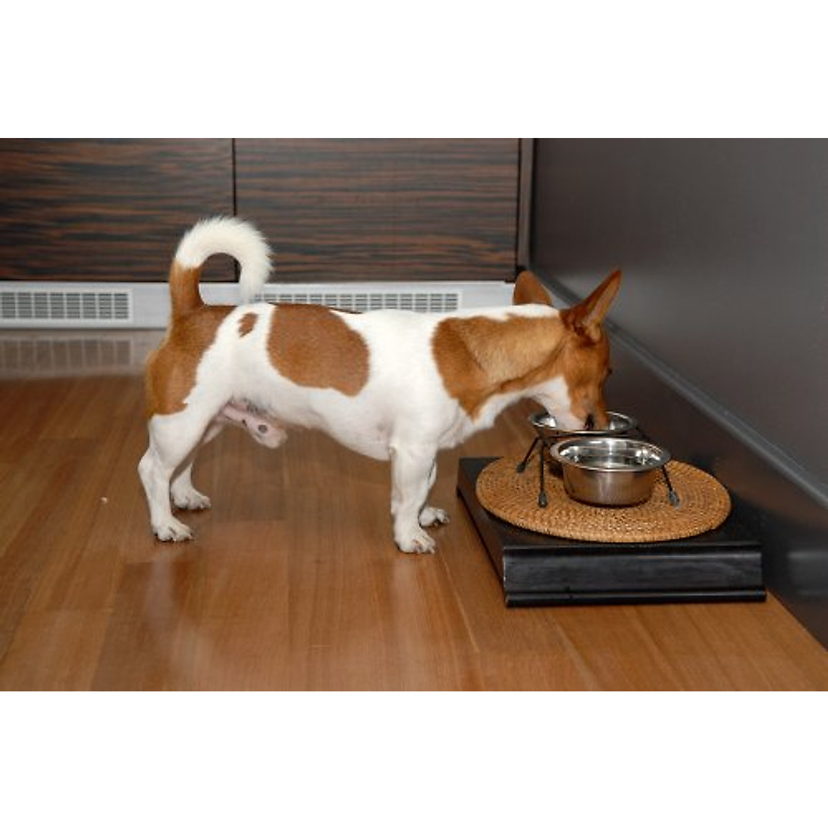 Dog Greens- Organic and Wild Harvested Vitamin and Mineral Supplement for Dogs - Add to Home Made Dog Food, RAW Food or Kibble - No Hassle-30 Day