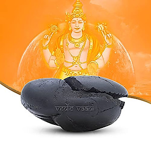 Vedic Vaani Natural Salagram Saligramam Stone Matsya Avatar Shaligram Shila Black (One Piece)