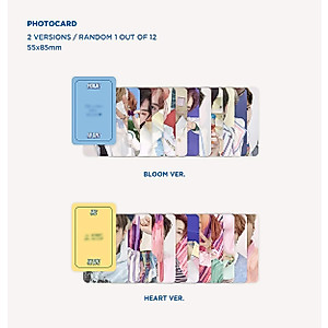 The Boyz - Bloom Bloom [Bloom ver.] (2nd Single Album) CD + 88p Photobook + POP-UP Card + Name Sticker + Photo Letter + Photocard