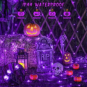 JMEXSUSS 600LED Purple Solar Christmas Lights, 206.7ft Solar String Lights Outdoor Waterproof, 8 Modes Purple Solar Lights for Patio Tree Gardens Halloween Xams Christmas Decor