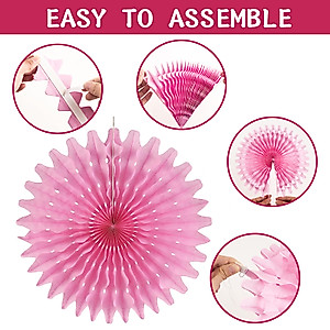 Balun Admhail 11PCS Hanging Paper Fans Decorations Pink Black Birthday Party Decorations for Girls Sweet 16 18 21st Paris Birthday Bridal Shower Wedding Bachelorette Galentine's Party Decor Supplies