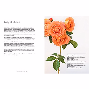 Vintage Roses: Beautiful Varieties for Home and Garden