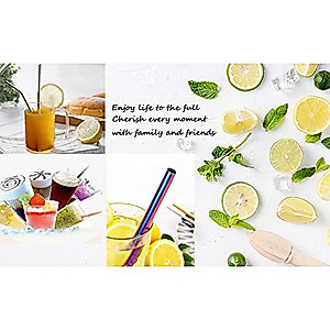 Stainless Steel Straws 10 Pieces Variety 8.5inch Reusable Drinking Straws with Wide Rainbow Smoothie Straw for 20oz Tumblers（6 Straight 4 Bent 2 Brushes)