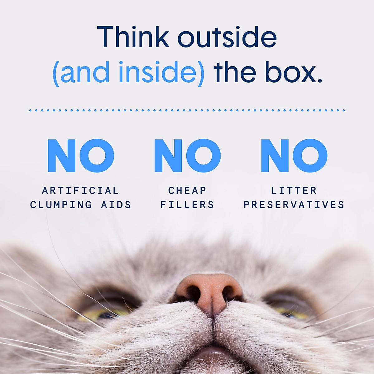 Boxie Gently Scented Cat Litter, Lightweight 30-Day Odor Control, Clumping, 11.5lb