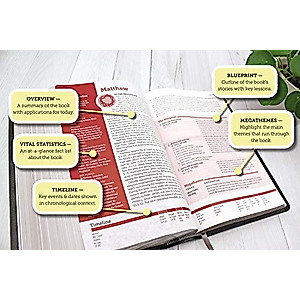 NIV, Life Application Study Bible, Third Edition, Large Print, Bonded Leather, Brown, Red Letter, Thumb Indexed