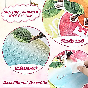 63 Pieces Paper Fruit Cutouts Bulletin Board Set, Watercolor Fruit Accent Cutouts Classroom Wall Decorations Motivational Fruit Calendar Decor Name Tags for Back To School, First Day of School