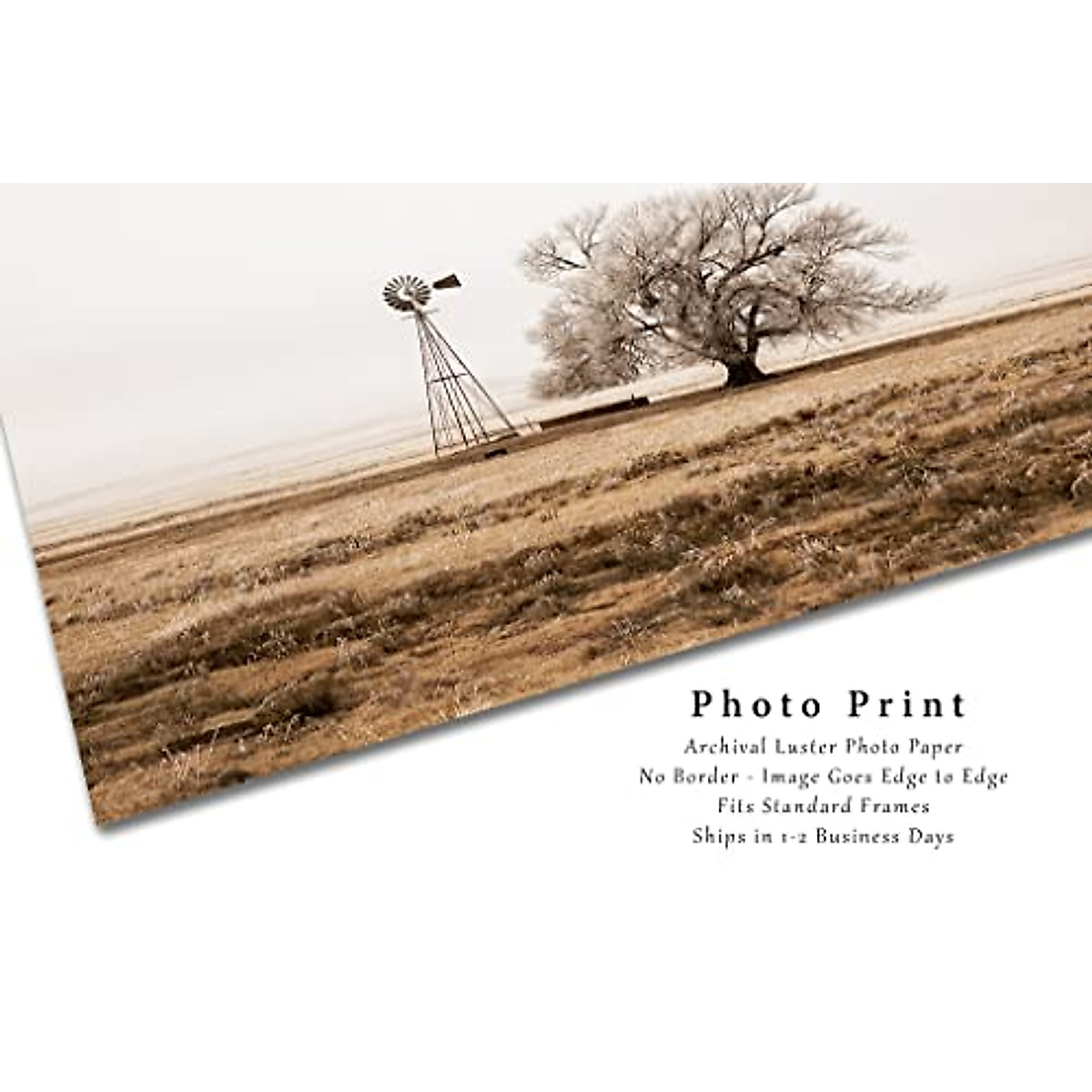 Country Photography Print (Not Framed) Sepia Picture of Old Windmill and Tree Covered in Frost on Winter Day in New Mexico Western Wall Art Farmhouse Decor (30" x 40")