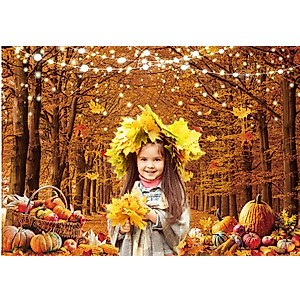 CYLYH 12x10ft Fall Photography Backdrop Autumn Maple Forest Leaves Pumpkin Party Background Thanksgiving Party Supplies Farm Harvest Event Banner Thanksgiving Photo Booth Props CY579