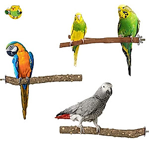 GJRGEG1Y Removable Window/Shower Perch Platform with Suction Cups for Bird Includes Stainless Steel Washer Robust and Stable Without Falling (Small)