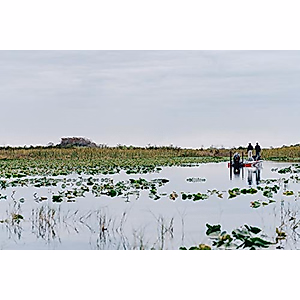 Abu Garcia Zata Spinning Fishing Reel, Green