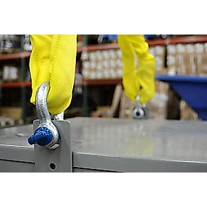 TEMCo 1" x 8.5 Ton D Ring Bow Shackle with Screw Pin Clevis (Rigging/Towing/Off Road) 1 Lot