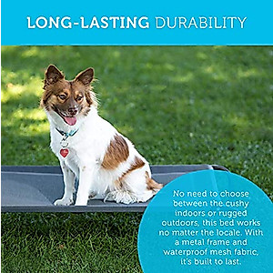 Paws & Pals "Travel Gear Approved" Steel-Framed Portable Elevated Pet Bed Cat/Dog, 43.5" by 29.5", Black