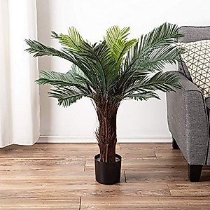 Artificial Cycas Palm Tree- 3-Foot Potted Faux Plant for Home or Office Decoration- Ornamental Greenery for Indoor or Outdoor Use by Pure Garden