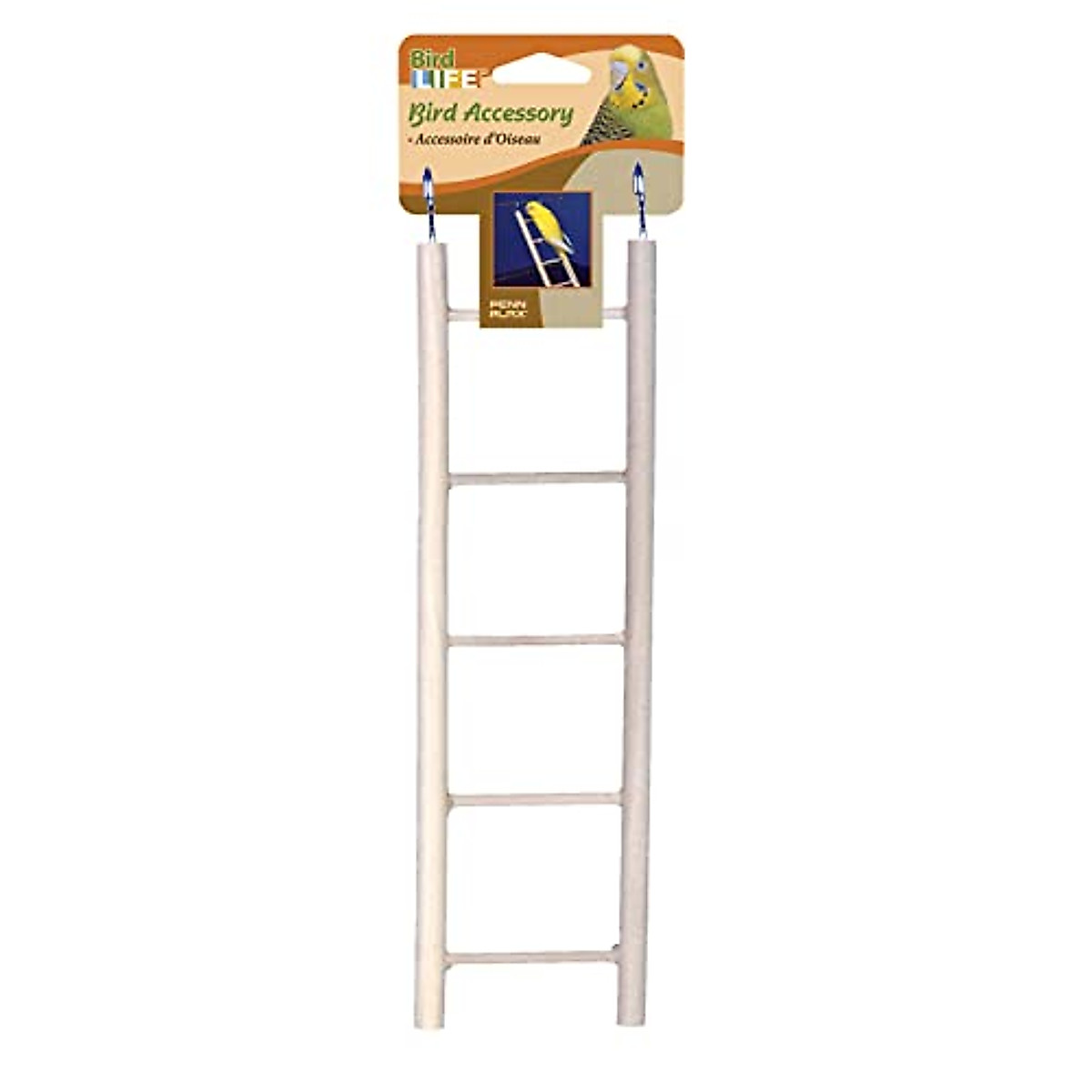 PENN-PLAX Small Bird Starter Kit with Birdcage and Accessories – Great for Parakeets, Lovebirds, Parrotlets, Finches, Canaries, and More – Arch Style Cage – White