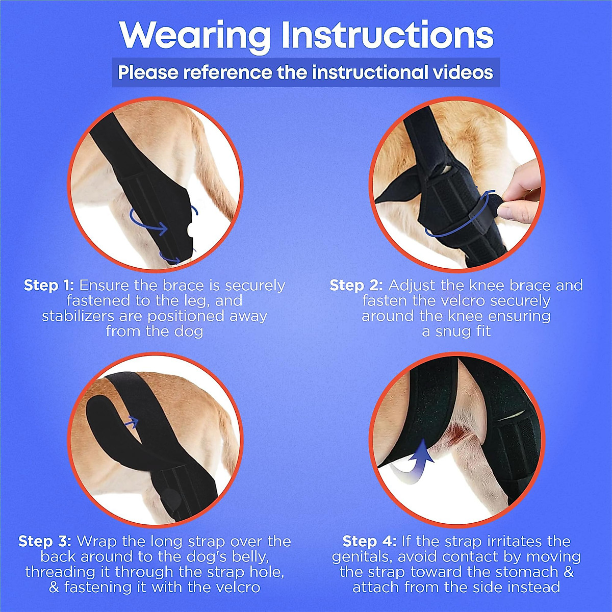 petbloom Dog Knee Brace for Torn ACL, Hip Dysplasia, Arthritis Pain Relief, Osteoarthritis, and Ligament Injuries, Adjustable Neoprene Support for Front or Hind Leg, Black (Large)