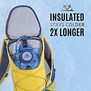 Gregory Mountain Products Tempo 3 H2O Hiking Backpack