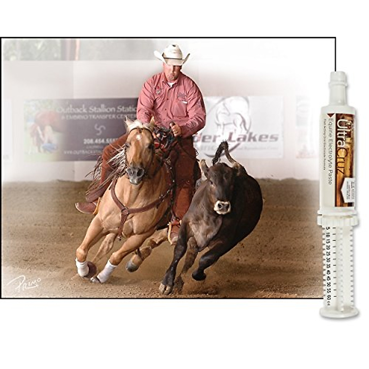 UltraCruz - sc-516042 Equine Electrolyte Supplement for Horses, 6 X 60 ml, Paste