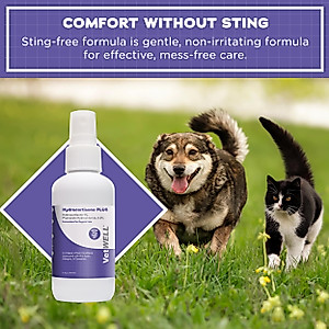 VetWELL Hydrocortisone Spray for Dogs & Cats - Itchy Skin Relief from Hot Spots, Bites, Scrapes, Irritated Skin, & Dermatitis - 4 oz Anti Itch Spray with Pramoxine