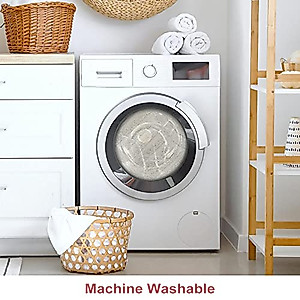 Lanffia Boho Area Rug 5' x 7'，Tufted Cotton Rainbow Living Room Rug Hand Woven Washable Farmhouse Tribal Floor Carpet for Entryway Bedroom Kitchen, Beige