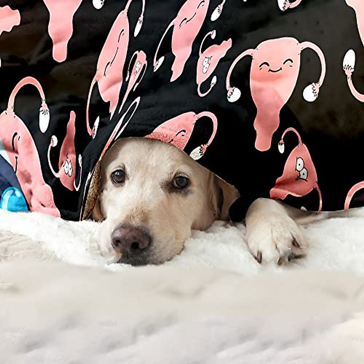 Uterus Soft Blanket Soft Throw Blanket,Uterus Plush Fuzzy Blanket Cozy Throw Blanket for Office Home,Warm Fleece Throw Blanket 50x60 in