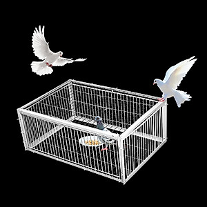 Nisorpa Pigeon Trap with Unidirectional Entrance, Encrypted Pigeon Cage Automatic Pigeon Collection Chicken Cage and Bird Trap with Metal Welding, 25 * 16.7 * 10.2 in