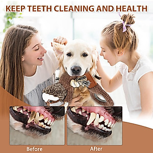 Eneston Large Plush Squeaky Dog Toys with Crinkle Paper, Tug of War Pull Toys for Puppies, Interactive Dog Chew Toys for Small, Medium and Large Dogs