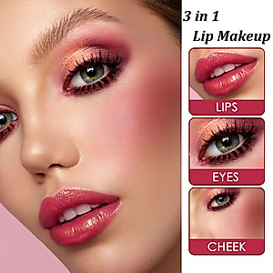 4 Colors Lip Tint Stain Set, LemonSac Velvet Lip Tint Watery Lip Stain, Moisturizing Waterproof Mini Liquid Lipstick,Plump Lip Gloss Long-lasting Korean Matte Lip Tint Non-Sticky Tinta De Labios (4PCS)