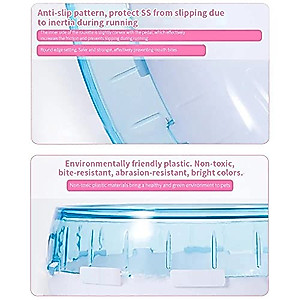 TDDGG Hamster Exercise Wheel Pet Running Spinner Exercise Wheel Silent Toys Sturdy Hamster Wheel Silent Hamster Wheel (Color : Blue)