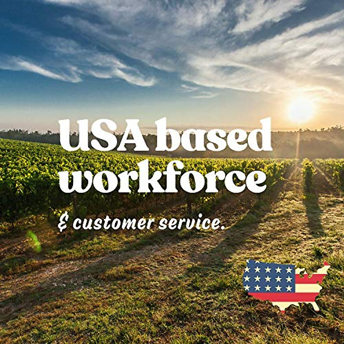 UC 157 F2 Asparagus Garden Seeds - 2 g Packet ~60 Seeds - Non-GMO, Hybrid, Perennial Vegetable Gardening Seeds