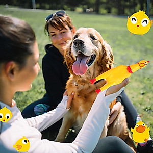 Honoson 50 Pcs Rubber Chickens Squeak Screaming Chicken Novelty Bulk Dog Toys for Pets Dogs Adults, 6.3 Inch(Yellow)