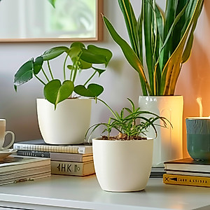 T4U 5 Inch Self Watering Planters Plastic Plant Pot, Modern Decorative Flower Pot/Window Box for All House Plants, Flowers, Herbs, African Violets, Succulents - White, Set of 6