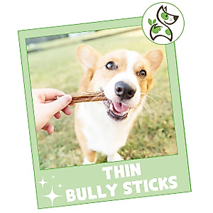 Nature Gnaws Thin Bully Sticks for Dogs 5-6" (1Lb) - Mixed Thickness - Long Lasting for Small Dogs and Puppies - Natural Thin Beef Dog Chew Bones - Rawhide Free