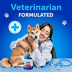Probiotics for Dogs - Support Gut Health, Itchy Skin, Allergies, Immunity, Yeast Balance - Dog Probiotics and Digestive Enzymes with Prebiotics - Reduce Diarrhea, Gas - 180 Probiotic Chews for Dogs