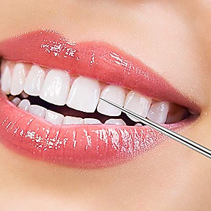 Portable Mini Pocket Titanium Toothpick Holder with 10 Pieces Reusable Titanium Toothpicks Waterproof Toothpick Case Toothpick Fruit Picks with Keyring for Outdoor Picnic Camping Traveling Supplies