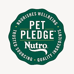 Nutro Crunchy Dog Treats With Real Apple, 10 oz. Bag