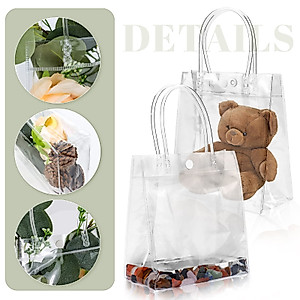 BadenBach 36 PCS Small Clear Gift Bags with Handle,6.3" x 5.9" x 2.75",Mini Clear Gift Bags Clear Goodie Bags Plastic Gift Bags with Handle for Wedding Birthday Party Halloween Christmas