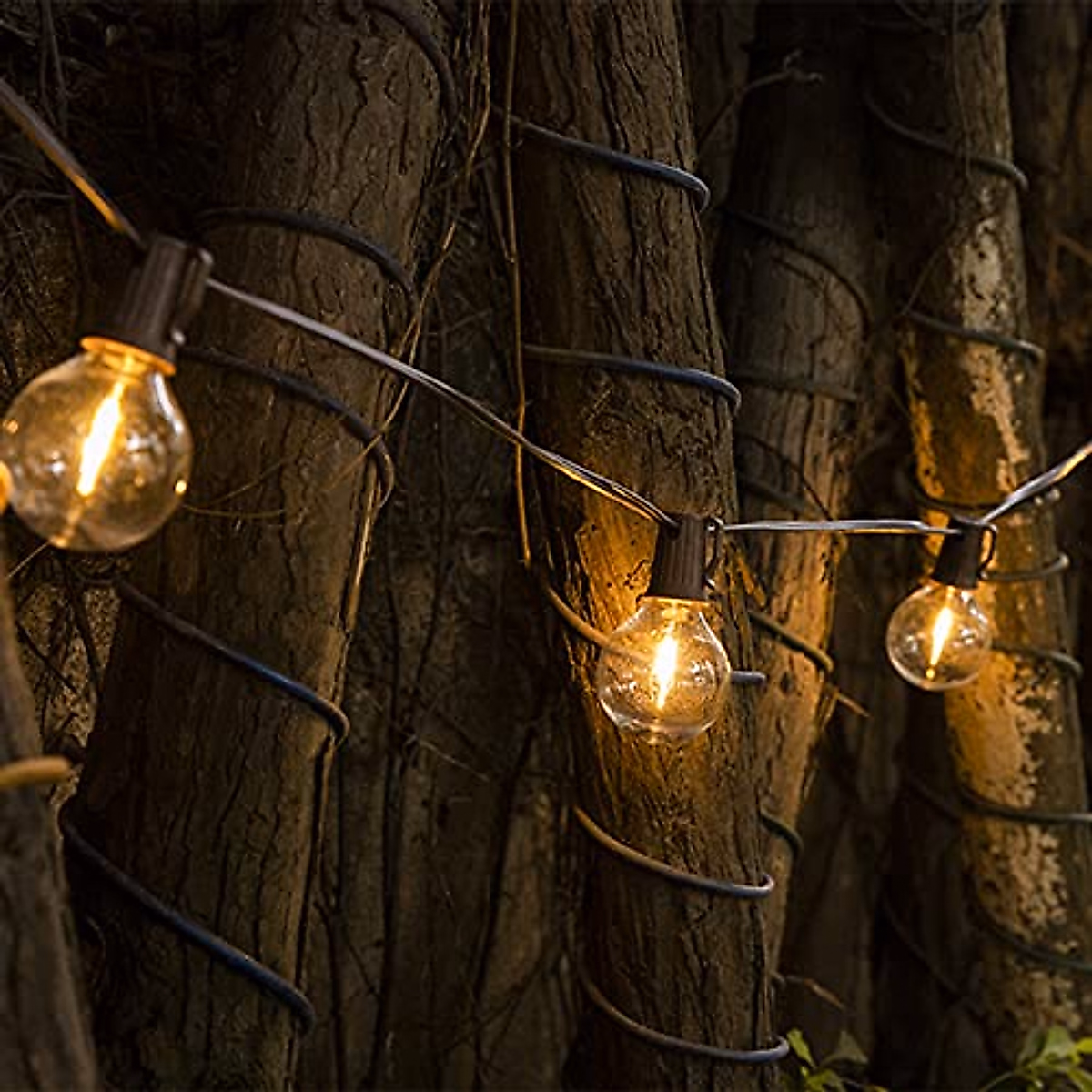 ALL FORTUNE Solar Outdoor String Lights, 15FT G50 Patio Lights String Waterproof with 10 Warm White LED Shatterproof Bulbs, Perfect for Garden, Backyard, Pergola, Party, Cafe, Camping Decoration