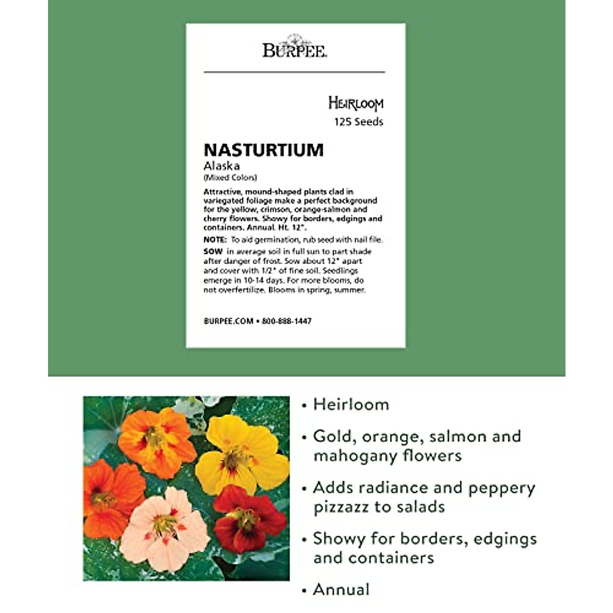 Burpee Alaska Mix Nasturtium Seeds 125 seeds