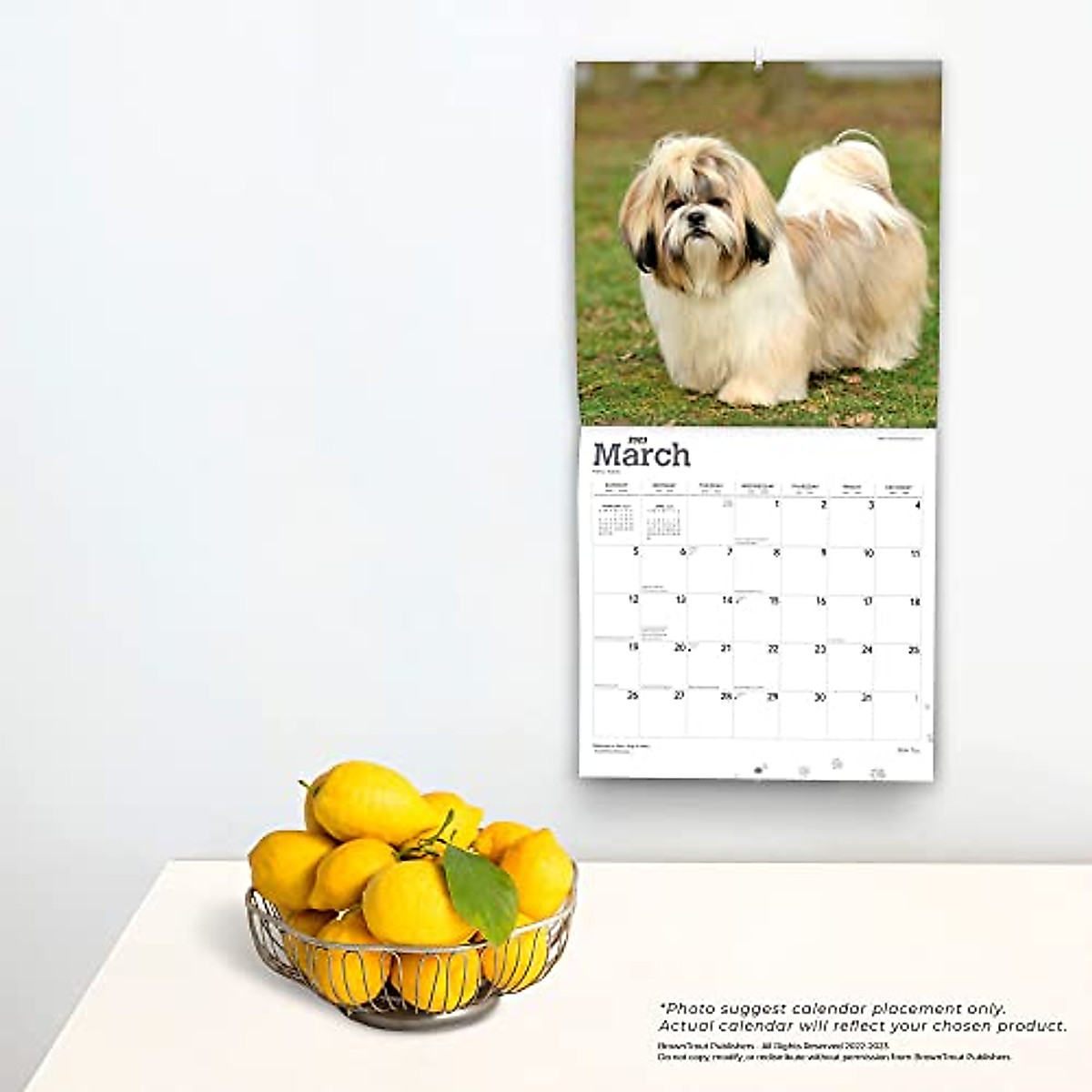 Shih Tzu | 2023 12 x 24 Inch Monthly Square Wall Calendar | Foil Stamped Cover | BrownTrout | Animals Small Dog Breeds DogDays