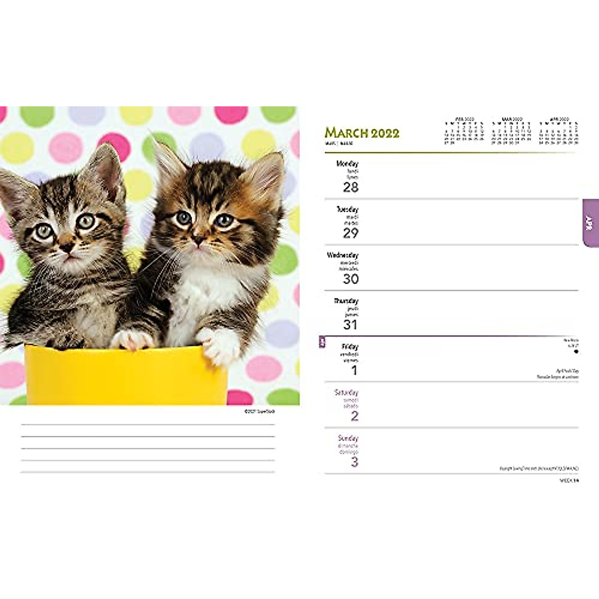 Kittens 2022 6 x 7.75 Inch Spiral-Bound Wire-O Weekly Engagement Planner Calendar | New Full-Color Image Every Week | Animals Cats Pets