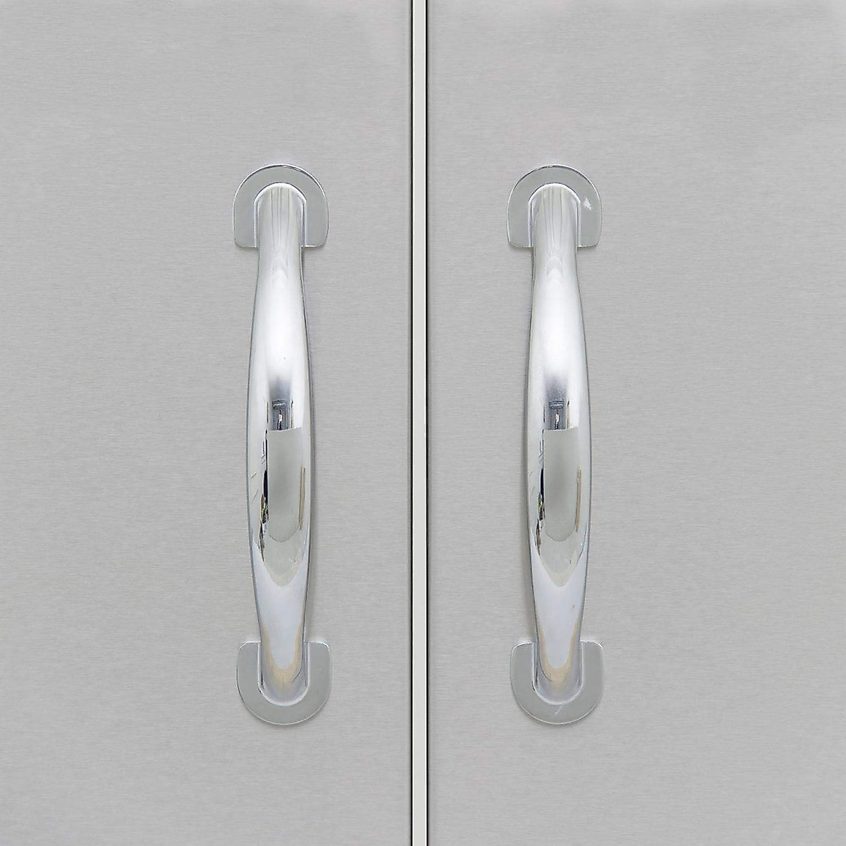 Blaze Grills Stainless Steel Enclosed Dry Storage Cabinet with Shelf