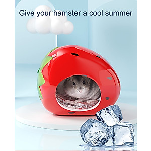 A/A Hamster Hideout Ceramic Pet House Cartoon Shape Hamster House Mini Hut Cage Critter Bath House for Chinchilla Hamster (Strawberry)